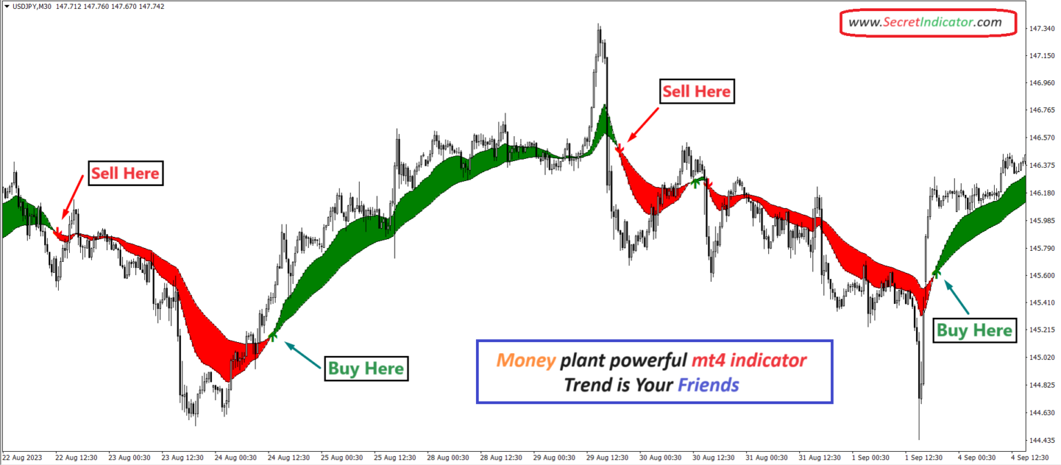 Money plant powerful mt4 indicator - Secret Indicator